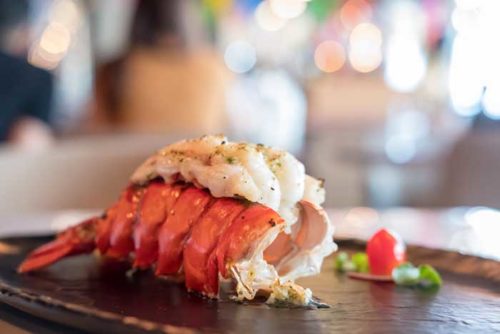 9 Best Types of Lobster [Maine, Slipper, Caribbean & More] - TheEatDown
